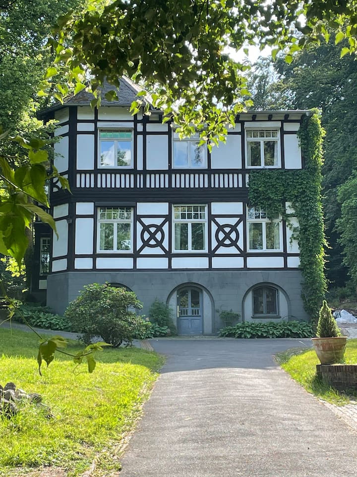 Apartment In Listed Villa - Wuppertal