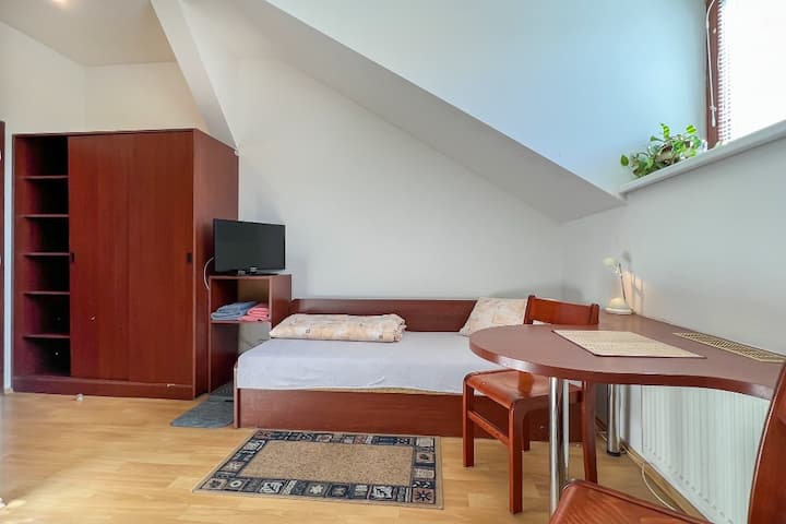 Penzion Navara (Bez Snídaní)jednolůžkový Pokoj č.1 - Kolín