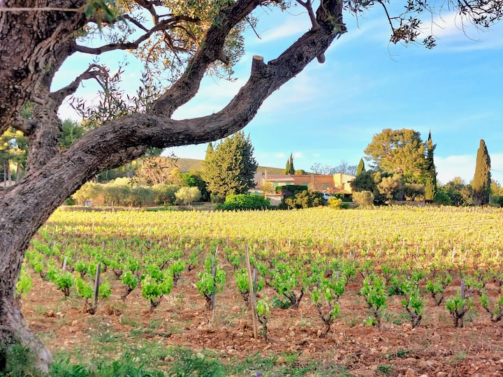 Charmant Gîte Provençal - Le Castellet