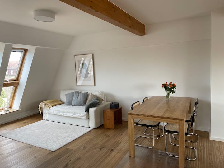 Großzügige Wohnung Mit Sonniger Dachterrasse - Karlsruhe
