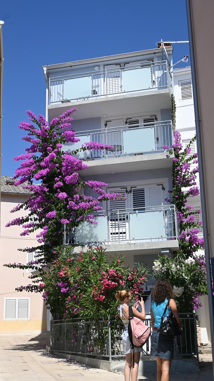 Sunny Suite: Perfect For Couples & Families - Novalja