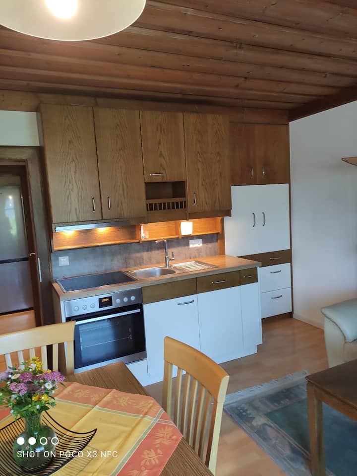 Country House Schwarzenbacher - 오스트리아