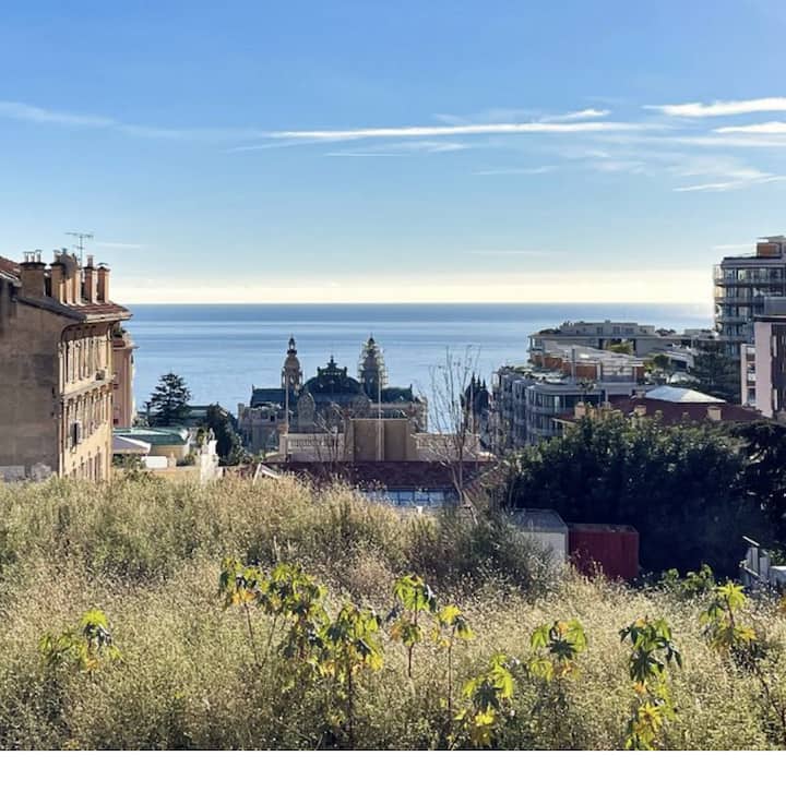 Border Of Monaco, Square Kraemer à Beausoleil - Plage de Monaco (Larvotto)