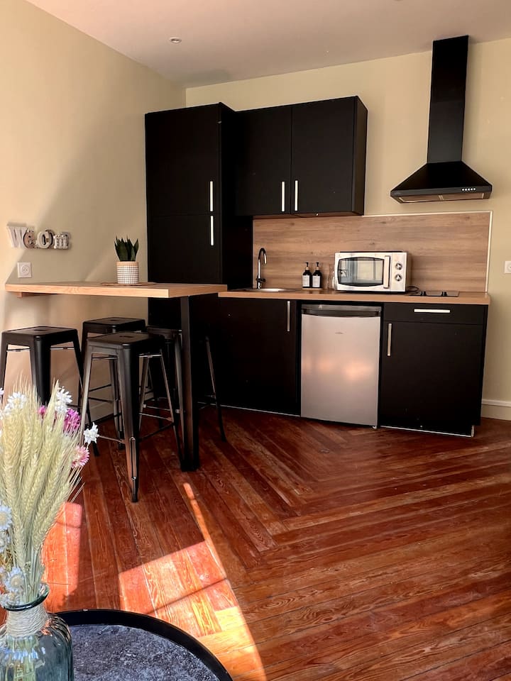 Gros Horloge - Hypercentre - Rouen