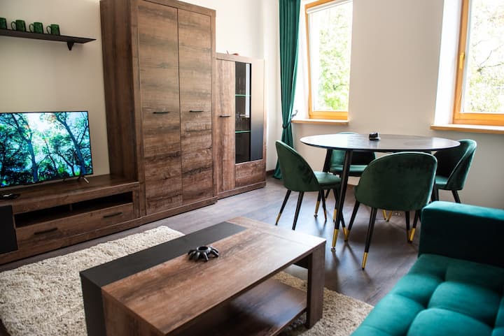 2 Rooms, 1 Bdr Vilnius Old Town Apartment - Vilna