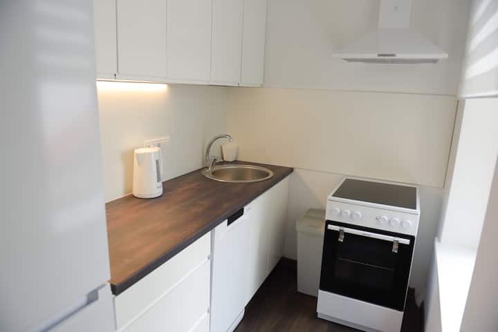 2 Rooms, 1 Bdr Vilnius Old Town Apartment - Vilna