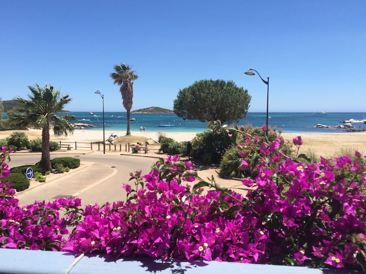 La Maison De La Plage-familiale & Pieds Dans L'eau - Lecci