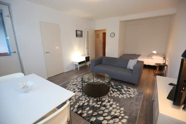 Studio Apartment In Rauma - Rauma
