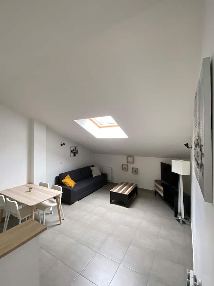 Maison Avec Jardin, Garage, Barbecue - Malo-les-Bains