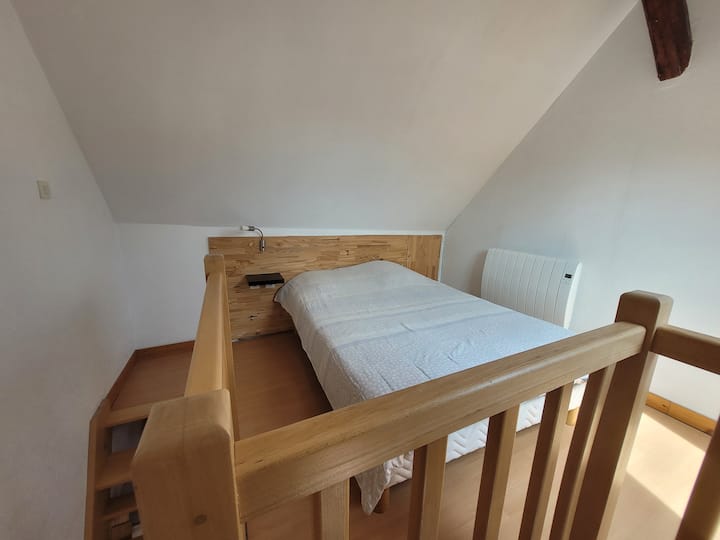 Appartement Avec Mezzanine - Châtenois
