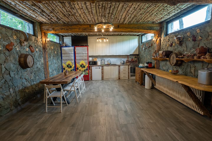 Bârlogul Vikingilor, Ragnar - Aluniș