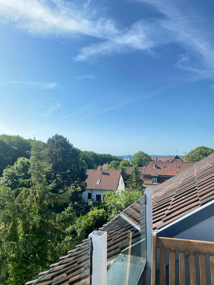Familievenlig, æStetisk Lejlighed Med Tagterrasse - Aarhus