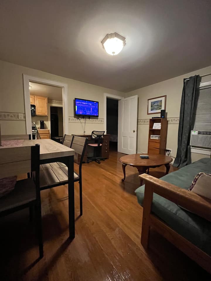 Cheerful 1 Bedroom Apt By Uhs, Guthrie, Bu - Binghamton, NY