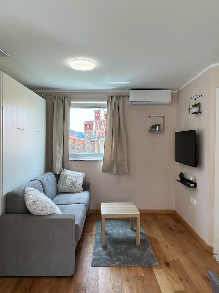 Casa Salvia Apartment 3 - Koper