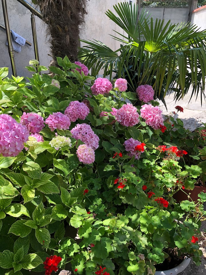 House In Vlore - Wlora