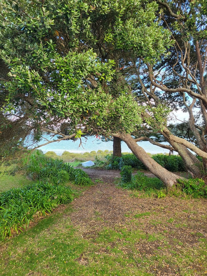 Oyster Bay - Whakatane