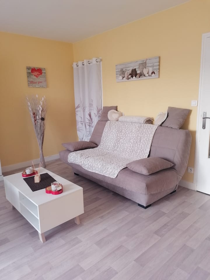 Appartement Meublé - Ibis budget Troyes Est