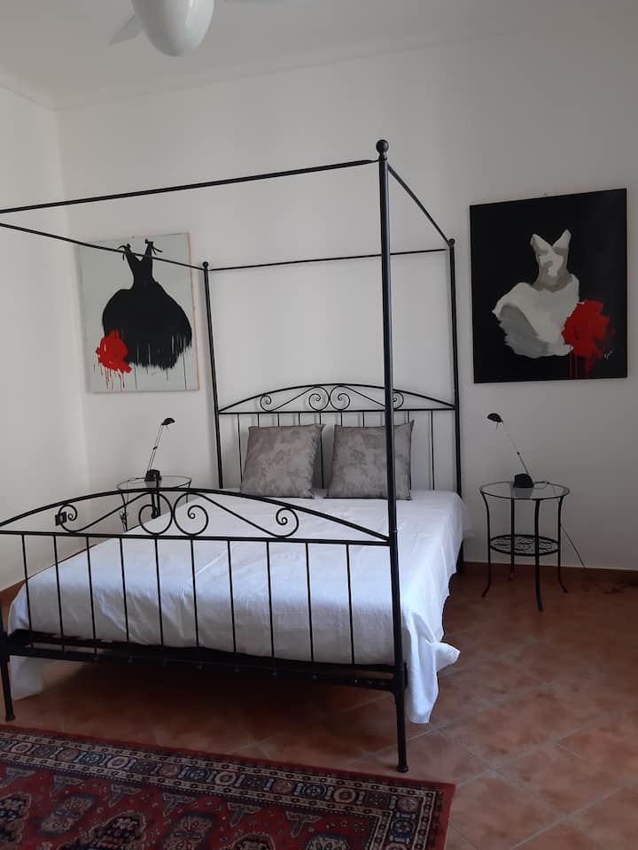 Mi12 All'insegna Dello Stile. - Albenga