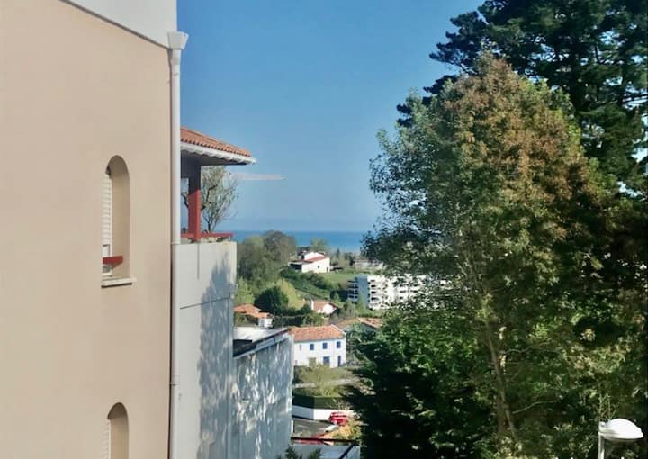 D&k Appartement - Ascain