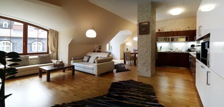 Karlovy Vary Byt 100 M Od Vřídla - Karlovy Vary