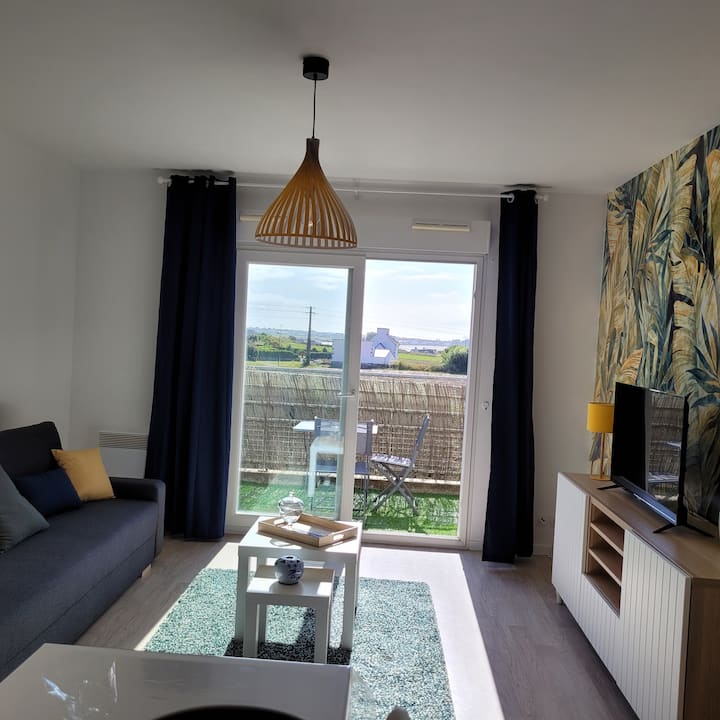 Appartement T2 Vue Mer
à Partir De 75 Euros/nuit - Roscoff