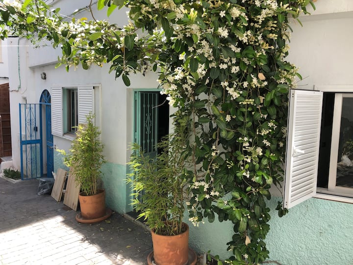 Grand Appartement Centre Village 5 Personnes - Conil de la Frontera