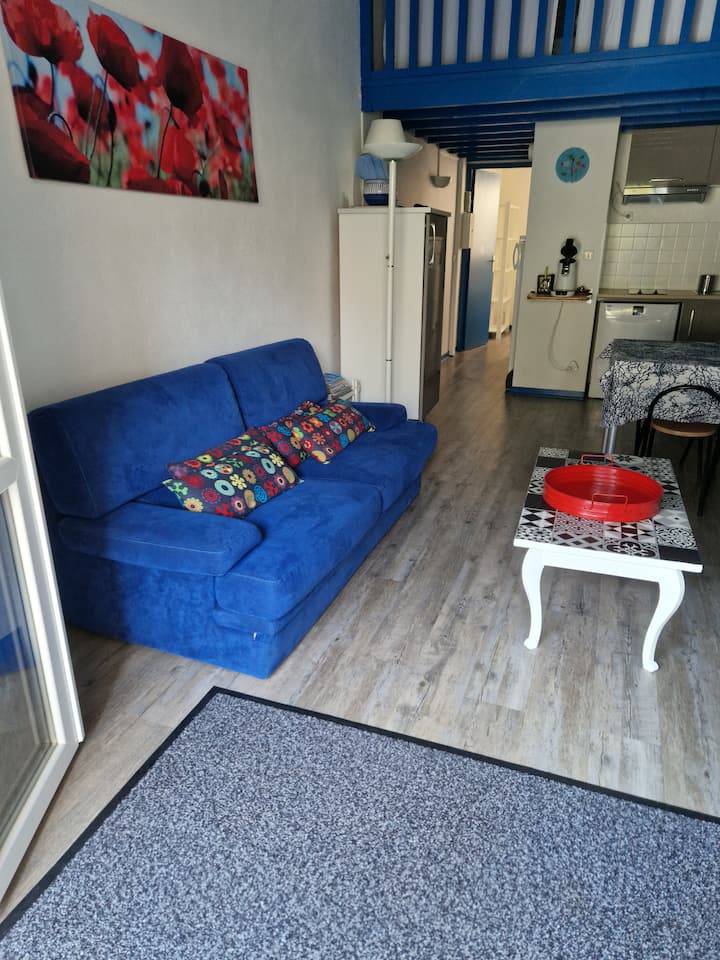 Petite Maison Mitoyenne, Lacanau - Lacanau