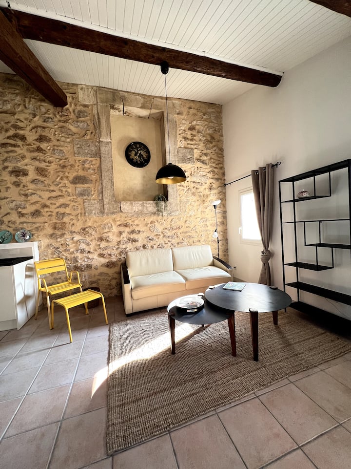 Magnifique Appartement Au Charme Méditerranéen - Clapiers
