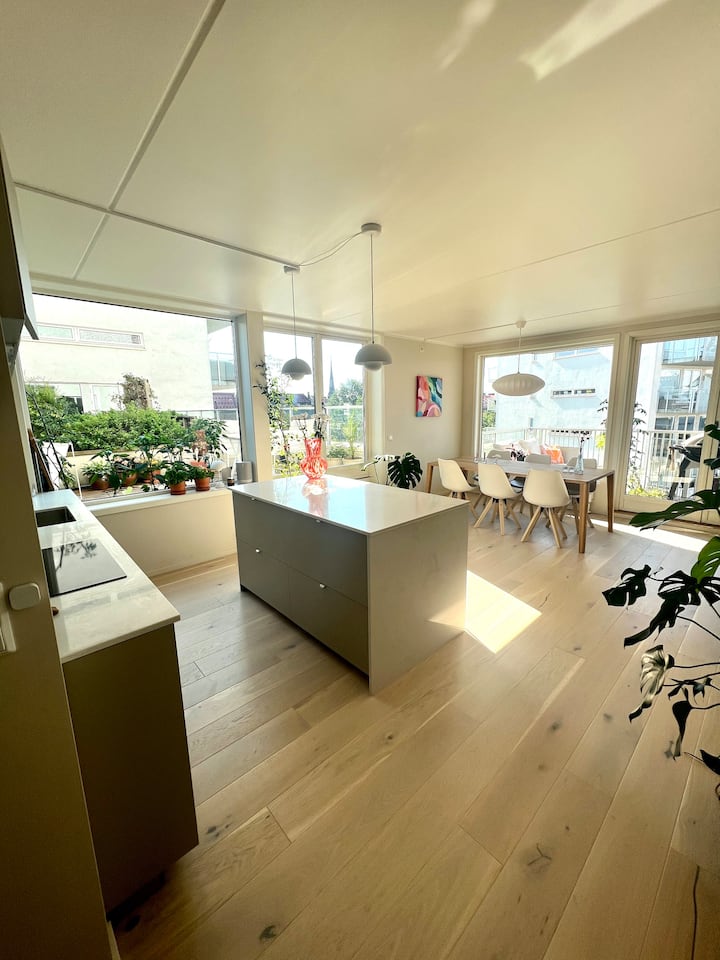 Moderne Nyoppusset Leilighet Med To Balkonger - Oslo