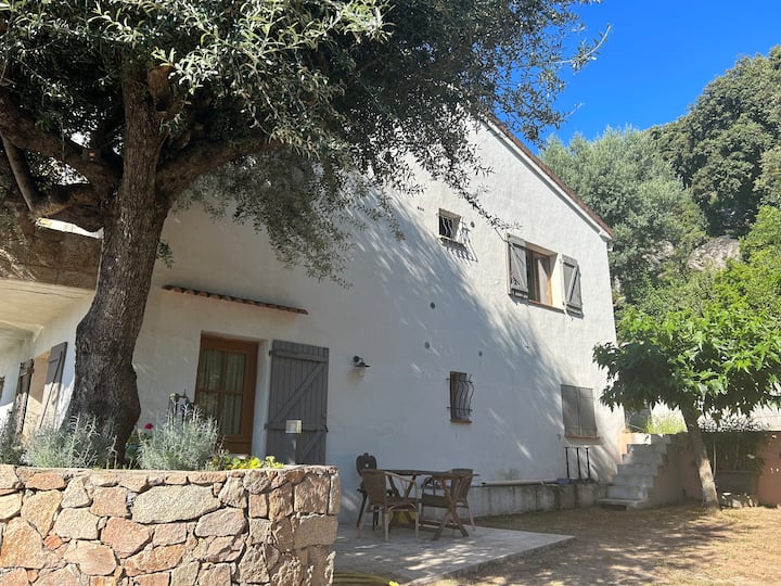 Appartement En Rez De Villa à Porto Vecchio - Palombaggia