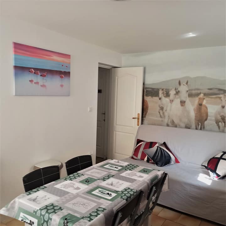 Appartement T2 Climatisé - Parking - Arles