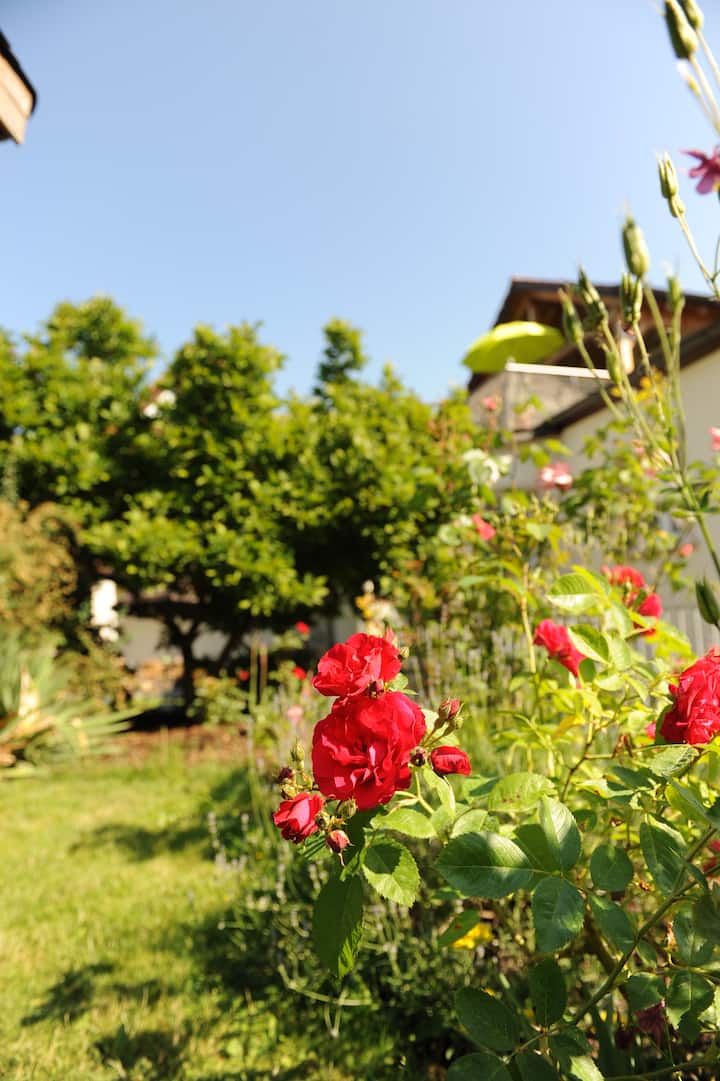Apartment-haus Gundelfinger, Apartment S Plus - Gräfenberg