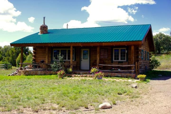 Serene Mountain Cabin Get Away! - Pagosa Springs, CO