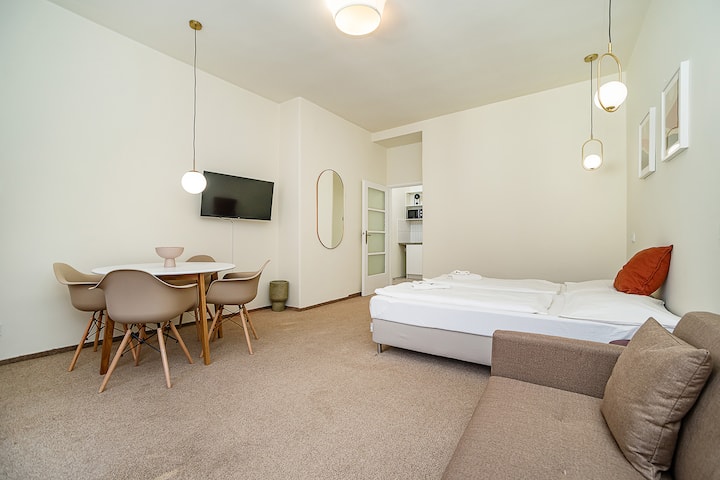 Modern, Bright Flat In Zizkov (304) - Prague