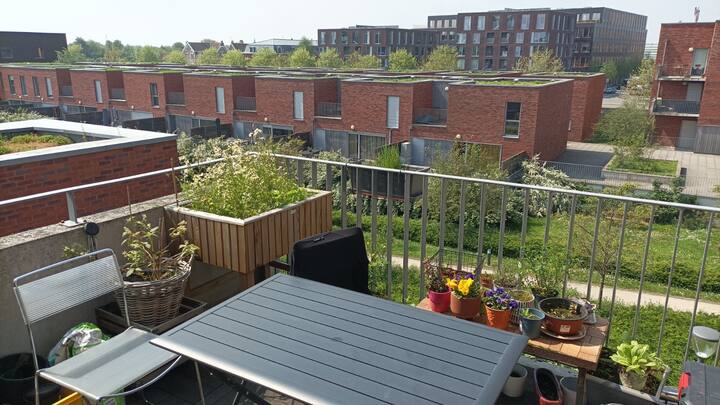 Appartement 93m2 Bois Blanc - Lomme
