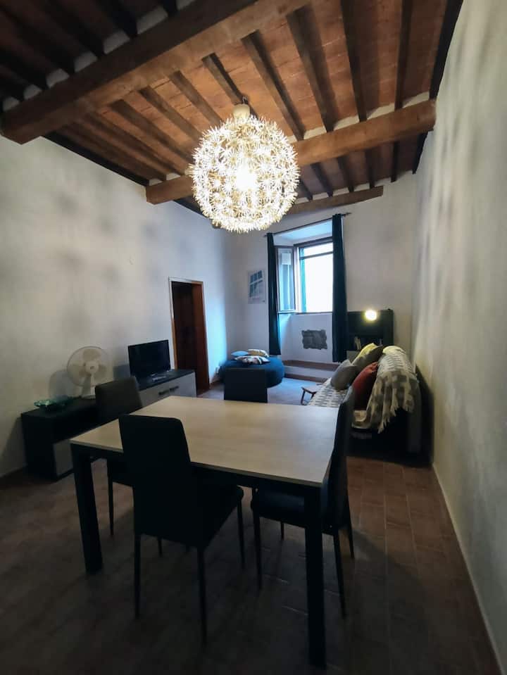 𝐋𝐚 𝐆𝐚𝐫𝐢𝐛𝐚𝐥𝐝𝐢𝐧𝐚 - Piombino