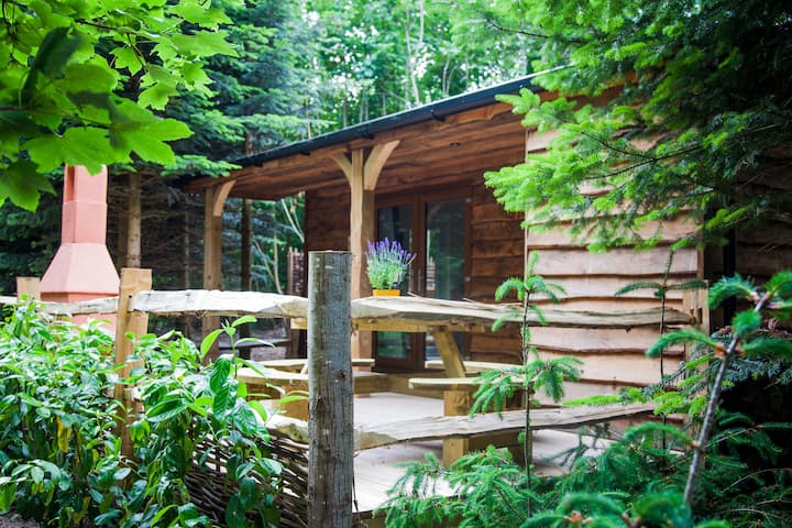 Stunnnig  Rustic Ecolodge - Private Hot-tub, Bbq, - Hythe