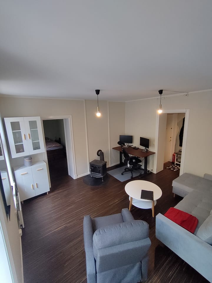 Appt Moderne Dans La Vieille Ville Avec Jardin - Oslo