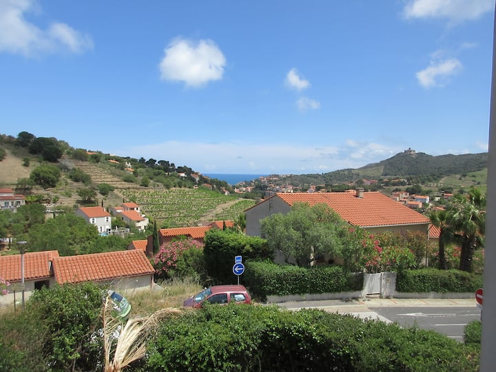 Appartement T2 Vue Sur Mer, Climatisé, Parking - Collioure