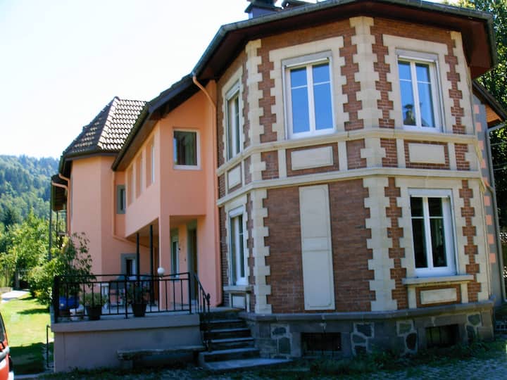 F3 Tout Confort 84m2 Au Bord De La Moselle - Vosges