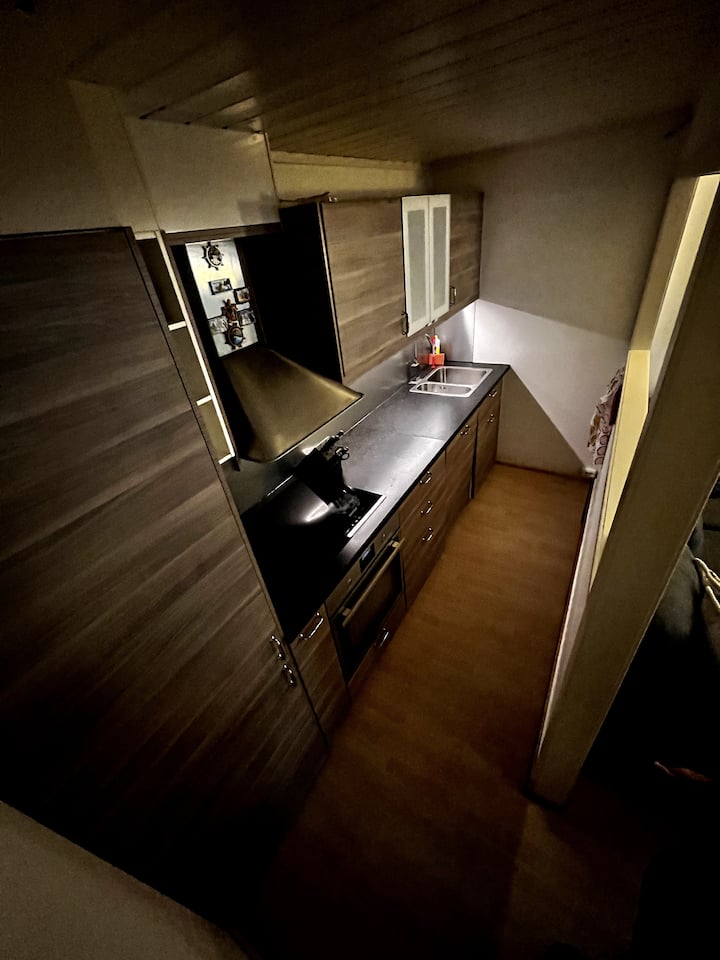 Leilighet På Disen/grefsen - Oslo