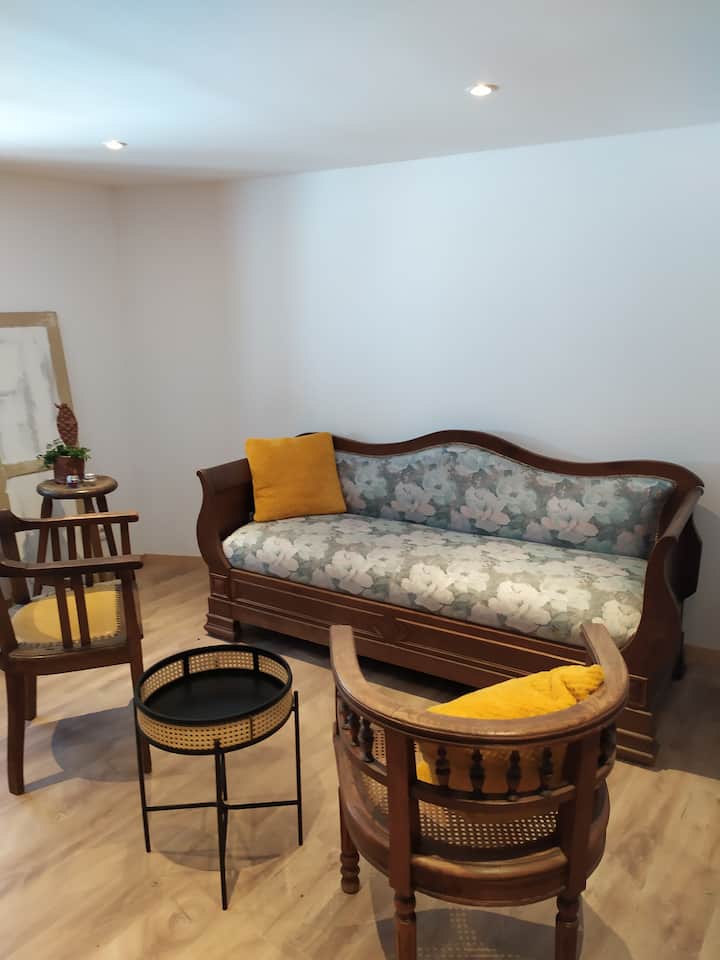 Petit Appartement Typique - Alsace