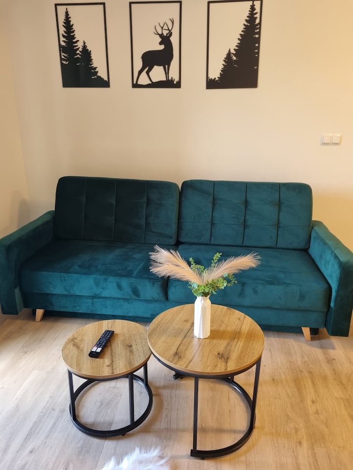 Apartamenty Jeleń Pod Grapom - Białka Tatrzańska