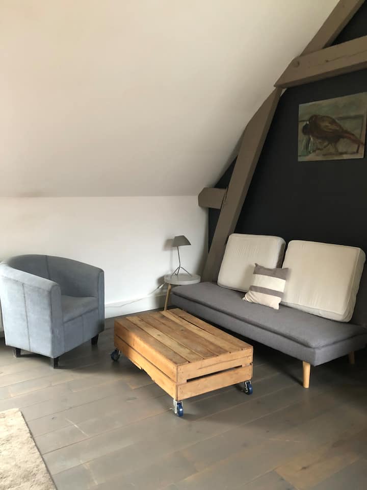 Appart Dans Propriété Privée . - Wasquehal
