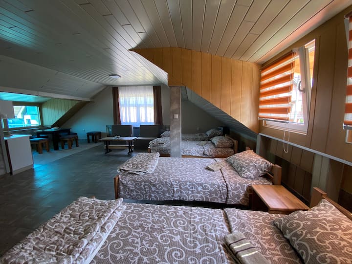 Vista Point Apartment - 6 Beds - Bajina Bašta