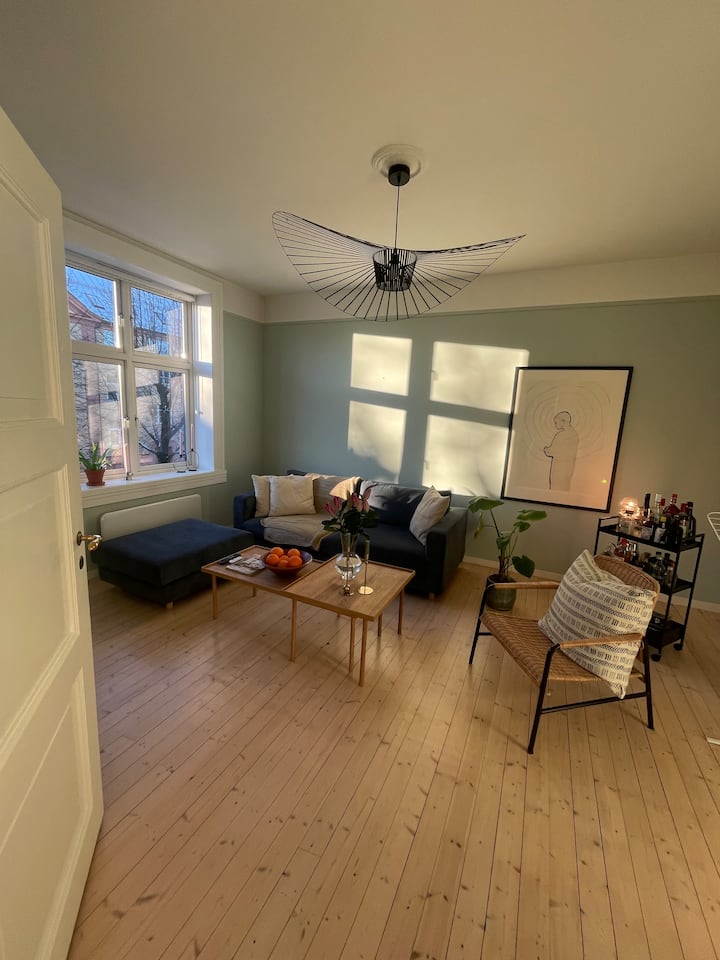 Koselig Leilighet St.hanshaugen - Oslo