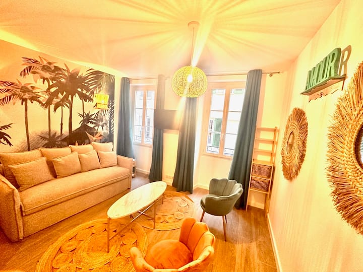 Les Appartements De Nana 2 - ibis budget Cannes Centre Ville