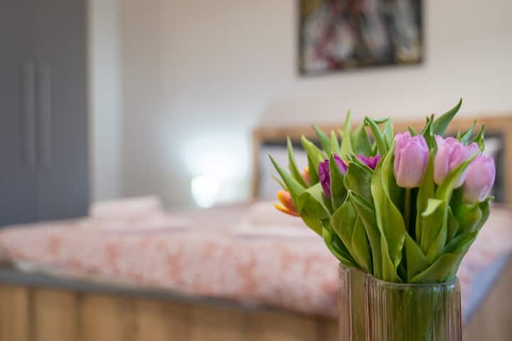 Студио с планинска гледка - Bankya