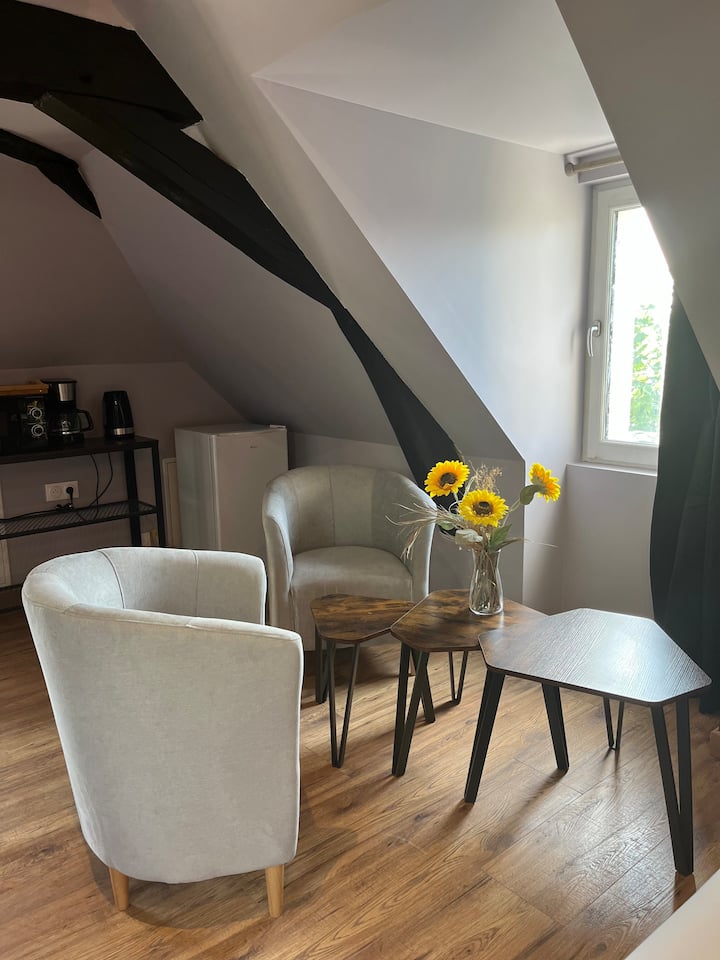La Suite Rubis - Saint-Aignan