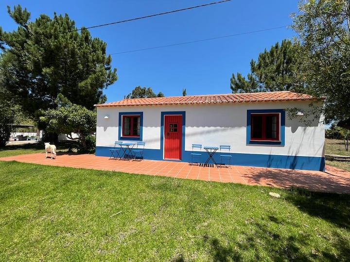 Casa Amarela - Porto Covo